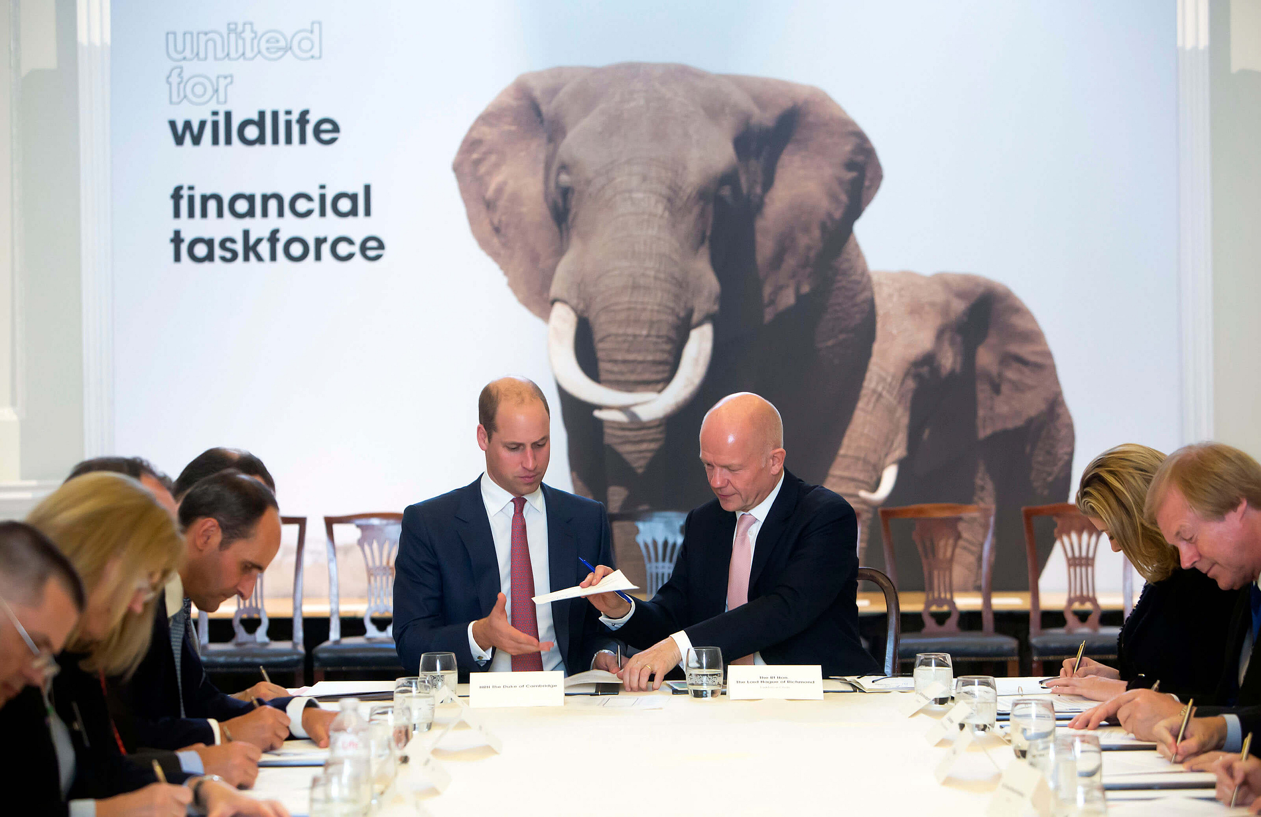 Role of Financial Institutions in Combating Wildlife Trafficking | WildHub